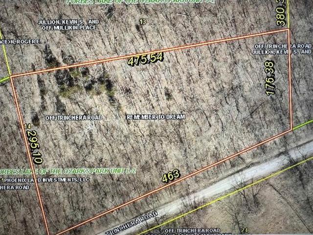 Trinchera Rd Lot 3671, Edwards, MO 65326