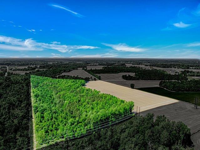 Trinidad Ard Rd, Coward, SC 29530