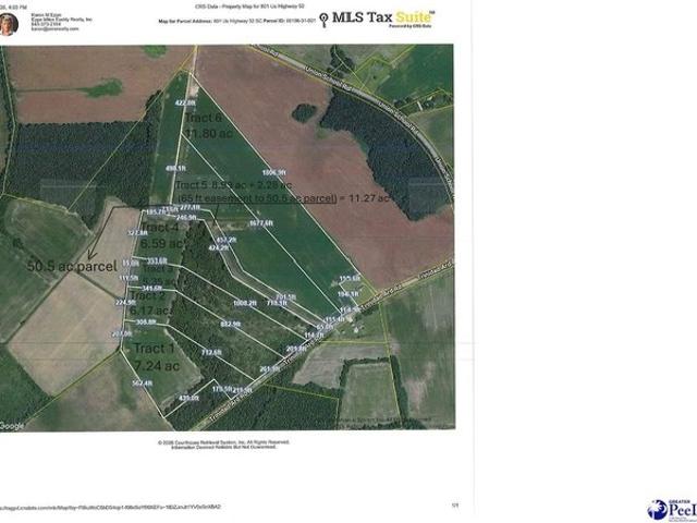 Trinidad Ard Tract # 2, Coward, SC 29530