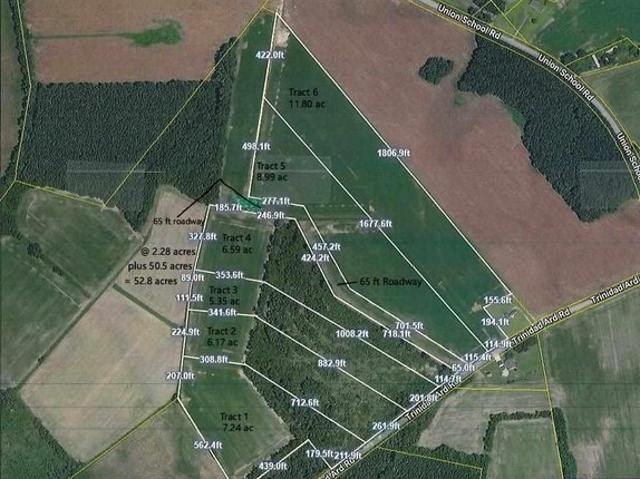 Trinidad Ard Tract # 2, Coward, SC 29530
