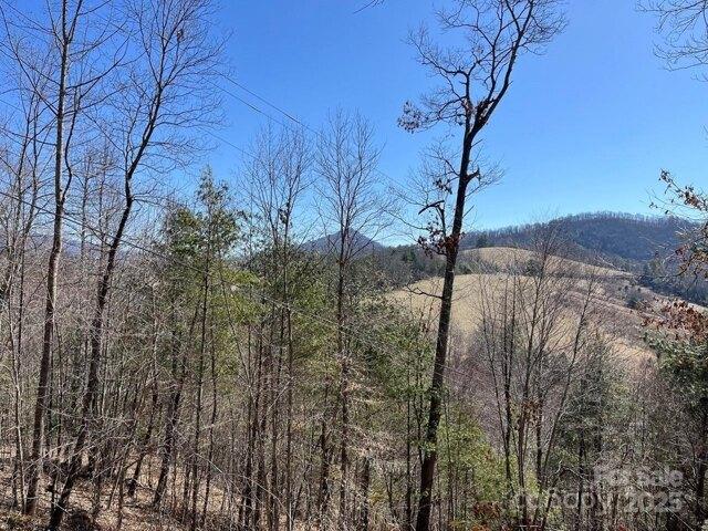 Trinity Pl, Burnsville, Plot For Sale