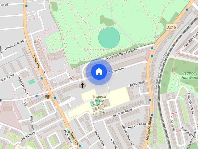 Trinity Rise, London, SW2