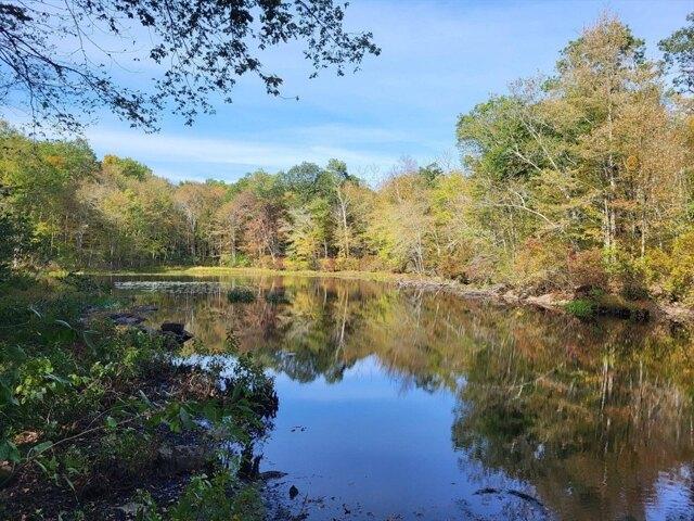 Tripp Hollow Rd, Brooklyn, Plot For Sale