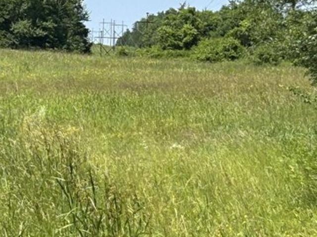 Truax Dr, Milton, Plot For Sale