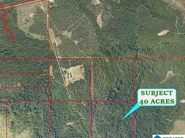 Truck Route 17 Lot 0, Loxley, AL 36551
