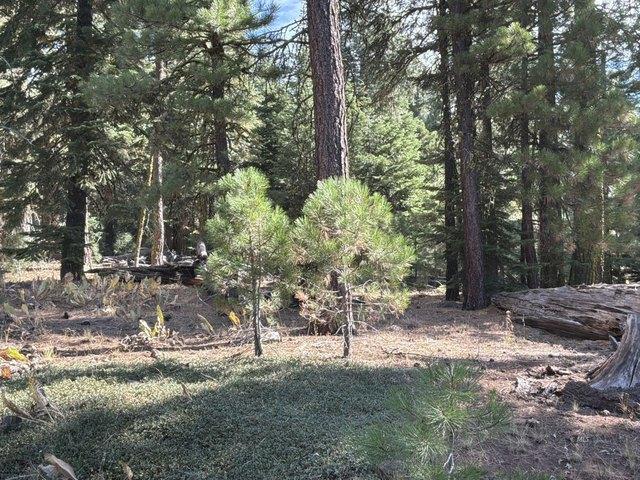 Truckee Dr, Alturas, CA 96101