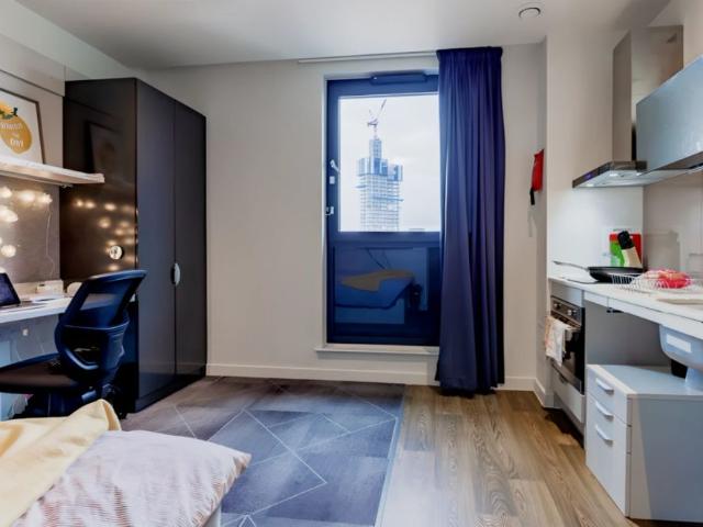 true Accessible Studio