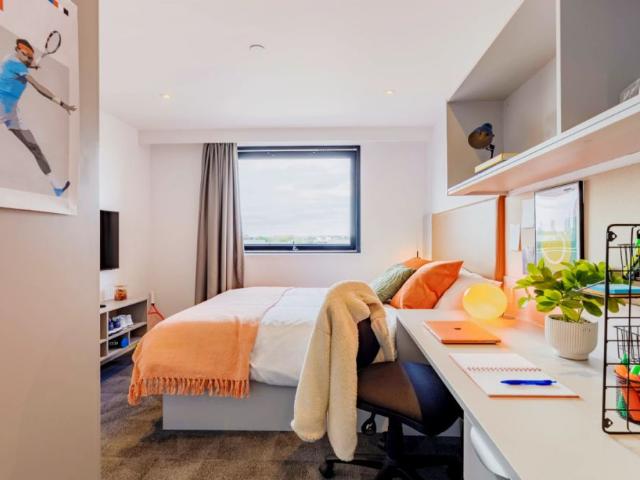 true Apartment Plus 3,4,5,6,7