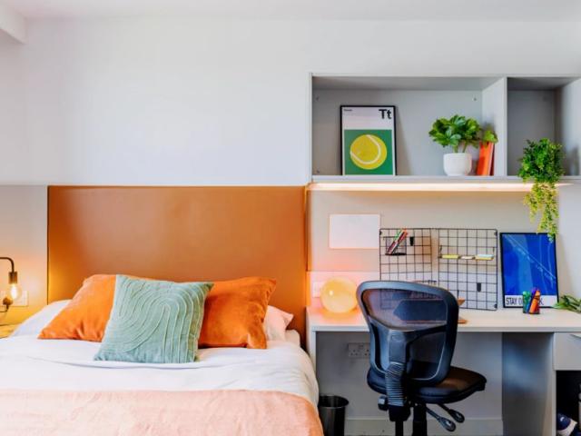 true Superior Apartment Plus 8,9,10