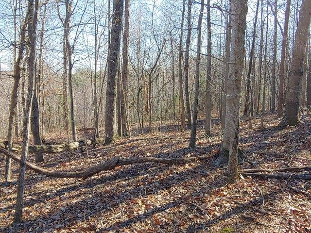 Truman Hill Rd Lot 1, Hardy, VA 24101