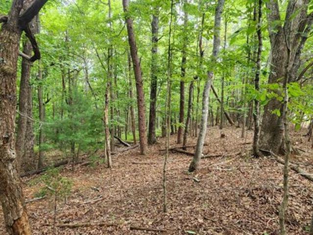 Truman Hill Rd Lot 1, Hardy, VA 24101