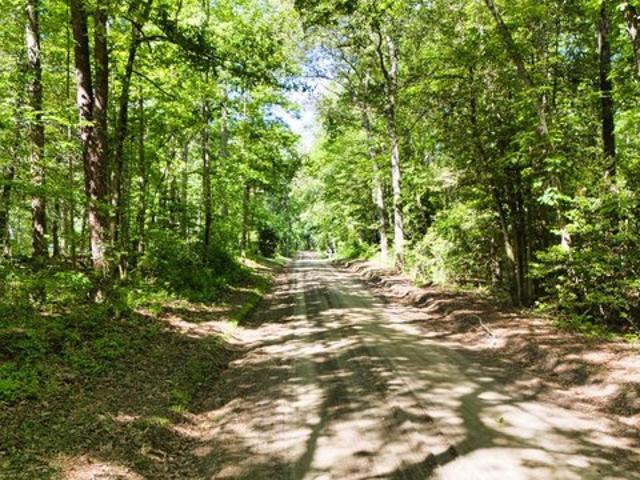 Trunk Rd, Henderson, MD 21640