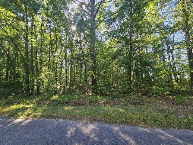 Two Church Rd, Bowman, SC 29018