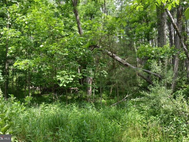 Two lots on siler road