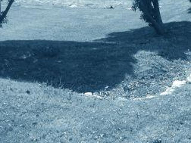 TWO MOBILE HOME LOTS FOR RENT THOMASVILLE