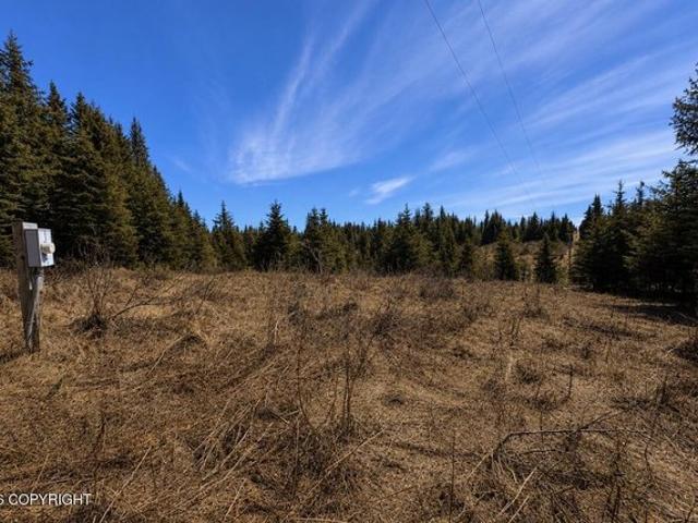 Twitter Creek Ln, Homer, AK 99603