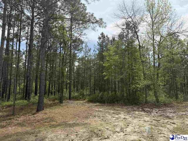 Twilight Dr, Dillon, SC 29536