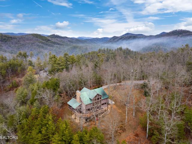 Twin Oak Mountain Lane, Townsend, TN 37882
