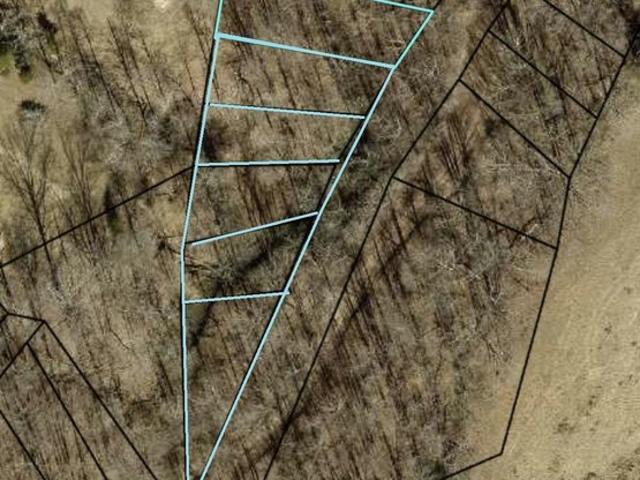 Twin Oak Rd Lot 28 33, Nancy, KY 42544