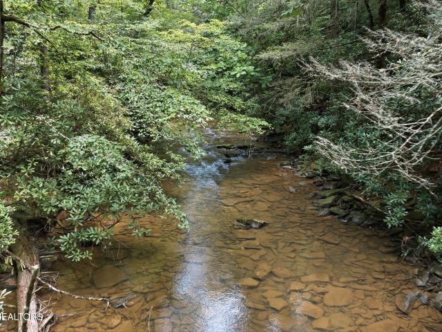 Twin Bridge Rd, Deer Lodge, TN 37726