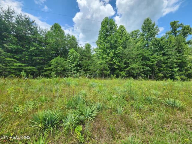 Twin Bridge Rd, Deer Lodge, TN 37726