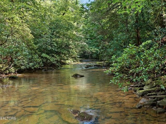 Twin Bridge Rd, Deer Lodge, TN 37726