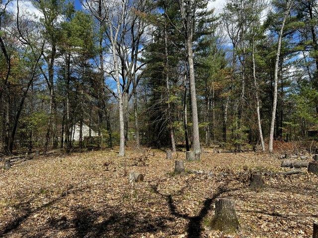 Twin Lake, MI 49457