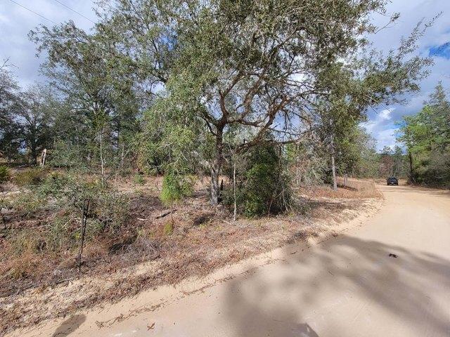 Twin Lakes Blvd, Interlachen, FL 32148