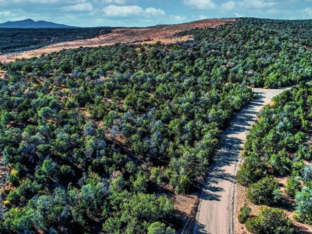 Twin Peaks Dr, Estancia, NM 87016
