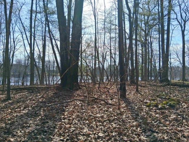 Twin Pine Ln, Porterfield, WI 54159