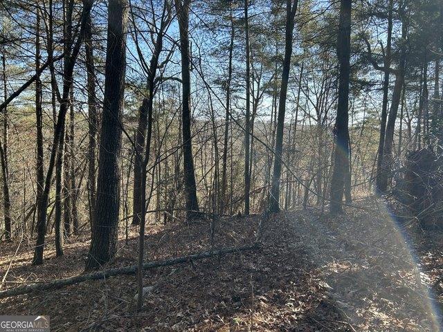 Twin River Orchard Rd Unit TRACT4, Demorest, GA 30535