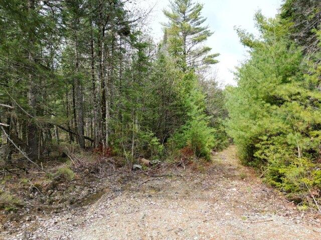 Twin Springs Ln, Lincoln, Plot For Sale