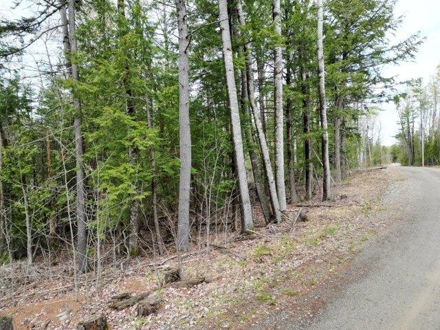 Twin Springs Ln, Lincoln, Plot For Sale