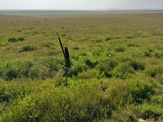 Twisselman Rd, Lost Hills, CA 93249