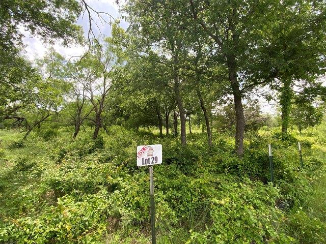 Twisted Creek Dr Lot 29, Gustine, TX 76455