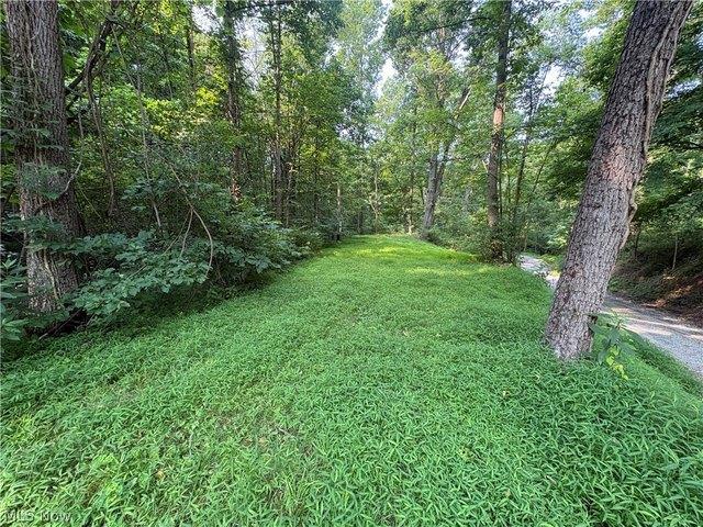 Twp Rd # 369, Clarington, OH 43915