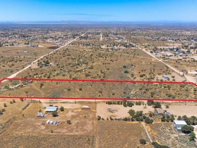 Tumbleweed, Phelan, CA 92371