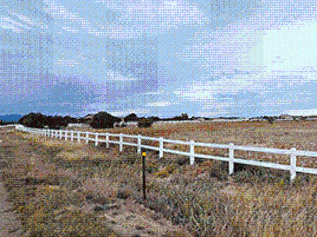 Tumbleweed Trl