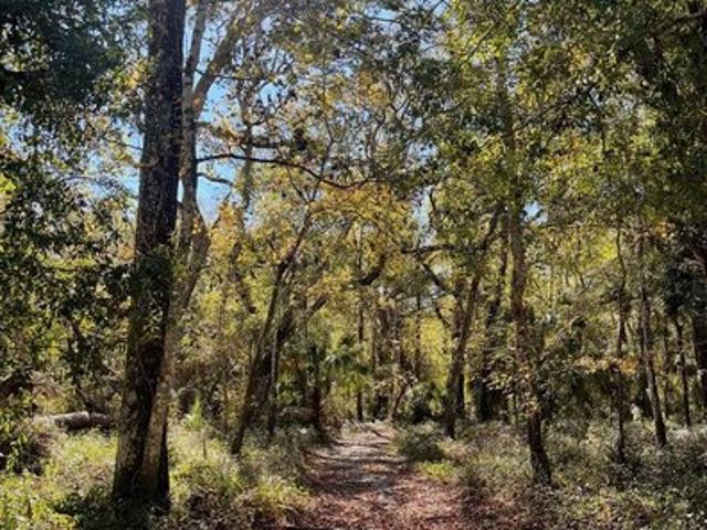 Tumbleweed Trl, Brooksville, FL 34604