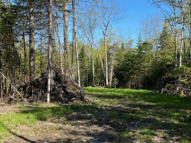 Tumbledown Ln, Greenville, Plot For Sale