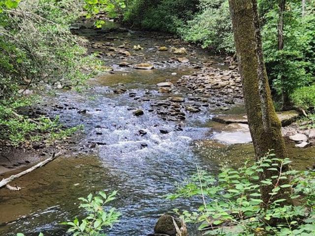 Tumbling Creek Rd, Copperhill, TN 37317
