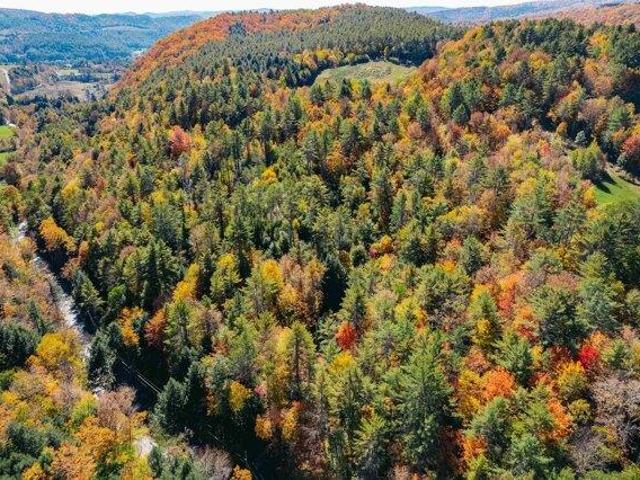 Tunbridge VT 05077 104788103