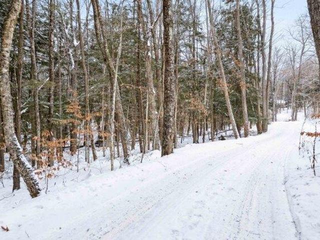 Tunbridge VT 05077 LS102283632