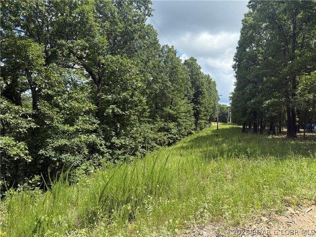 Tunnel Dam Rd, Macks Creek, MO 65786