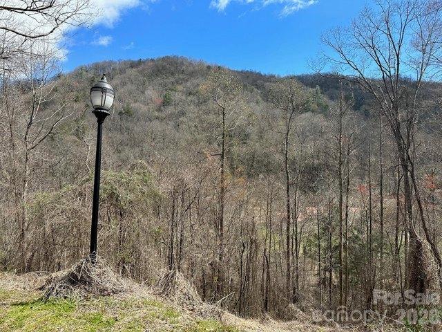 Tuckaway Ridge Dr, Hendersonville, NC 28792