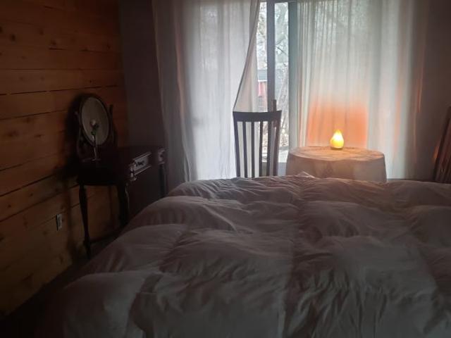 Tucked away nature room in central east Austin