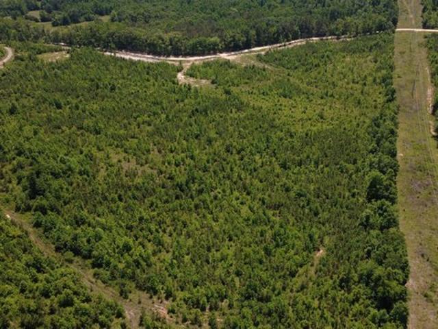 Tucker Rd Lot 11, Bath Springs, TN 38311