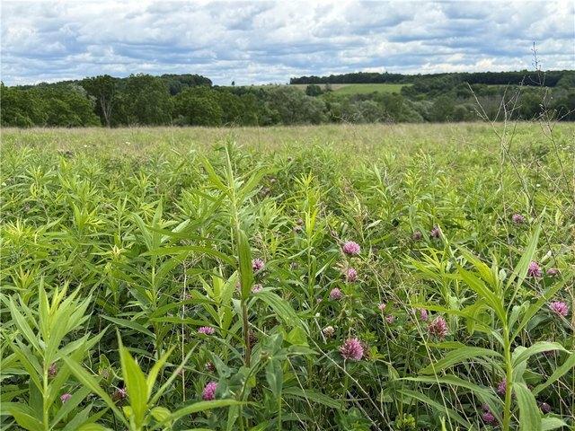 Tucker Rd, Trumansburg, NY 14886