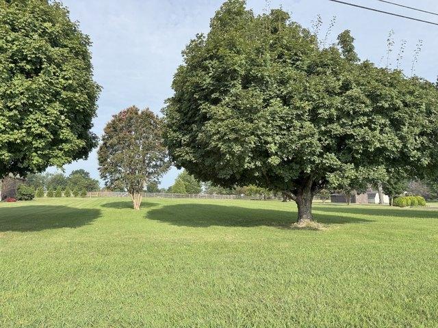 Tuckers Gap Rd, Lebanon, TN 37090