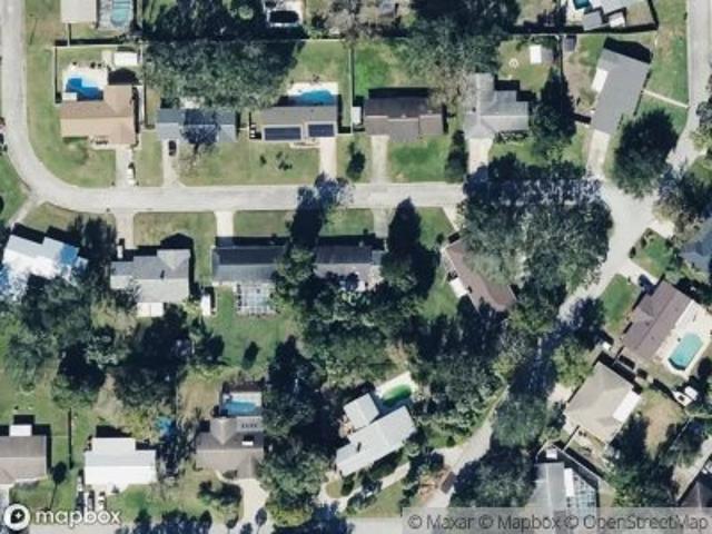 Tulip Tree Ln